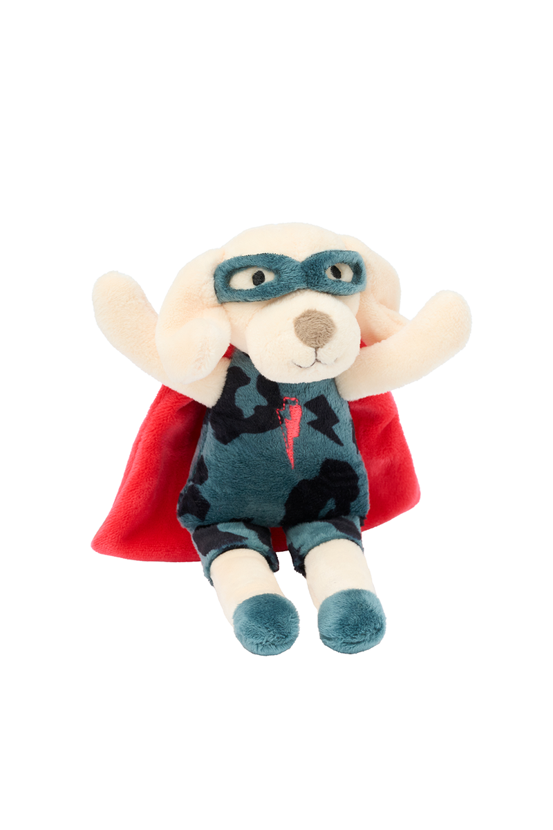 Super Puppy "Coco" Charity Mini Superhero Sleep Buddy Scamp & Dude